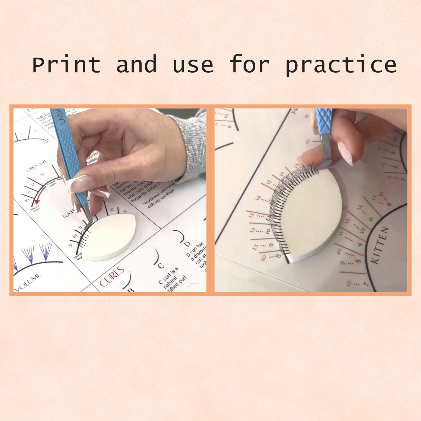 DIGITAL LASH MAP SPONGE CHARTS – Bellemory